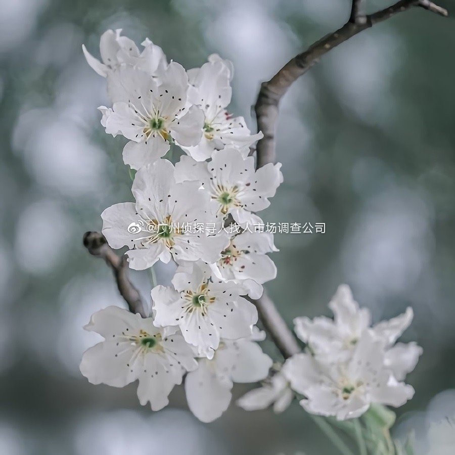 在生物学上,如果一个人身上没喷香水,你还能闻到她身上的体香