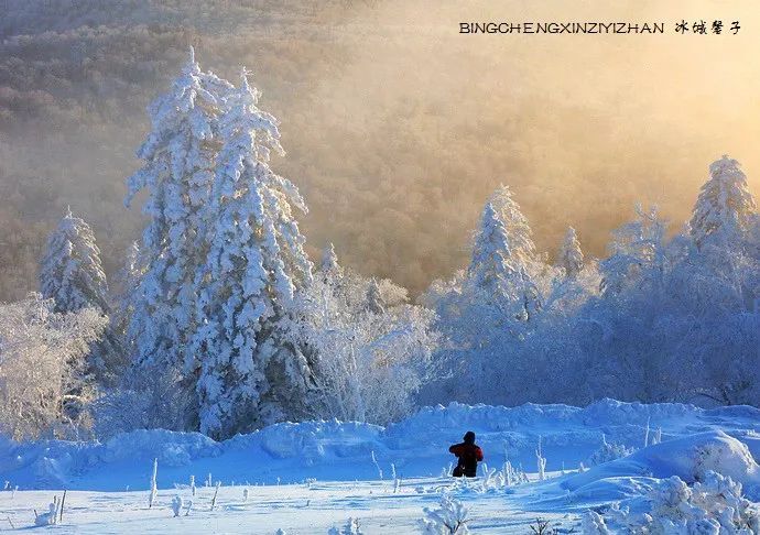 这里是中国冬天最美的公路，令人震撼的林海雪原童话王国！