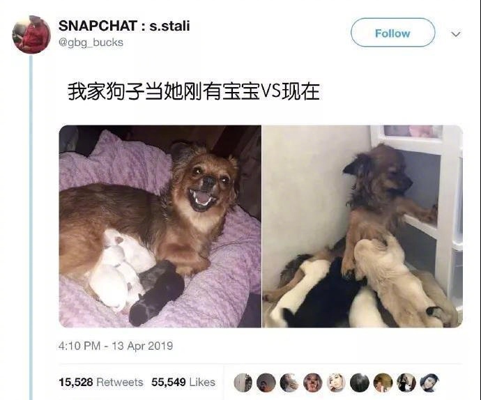 被榨干了,真的一滴都没有了