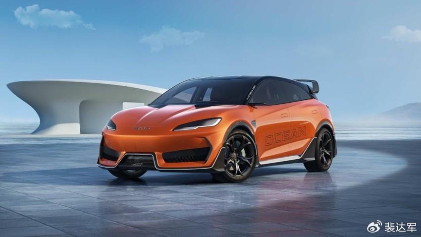 海豹06DM-i、海狮07EV即将上市，OCEAN-M两厢后驱纯电钢炮吸睛-新浪汽车
