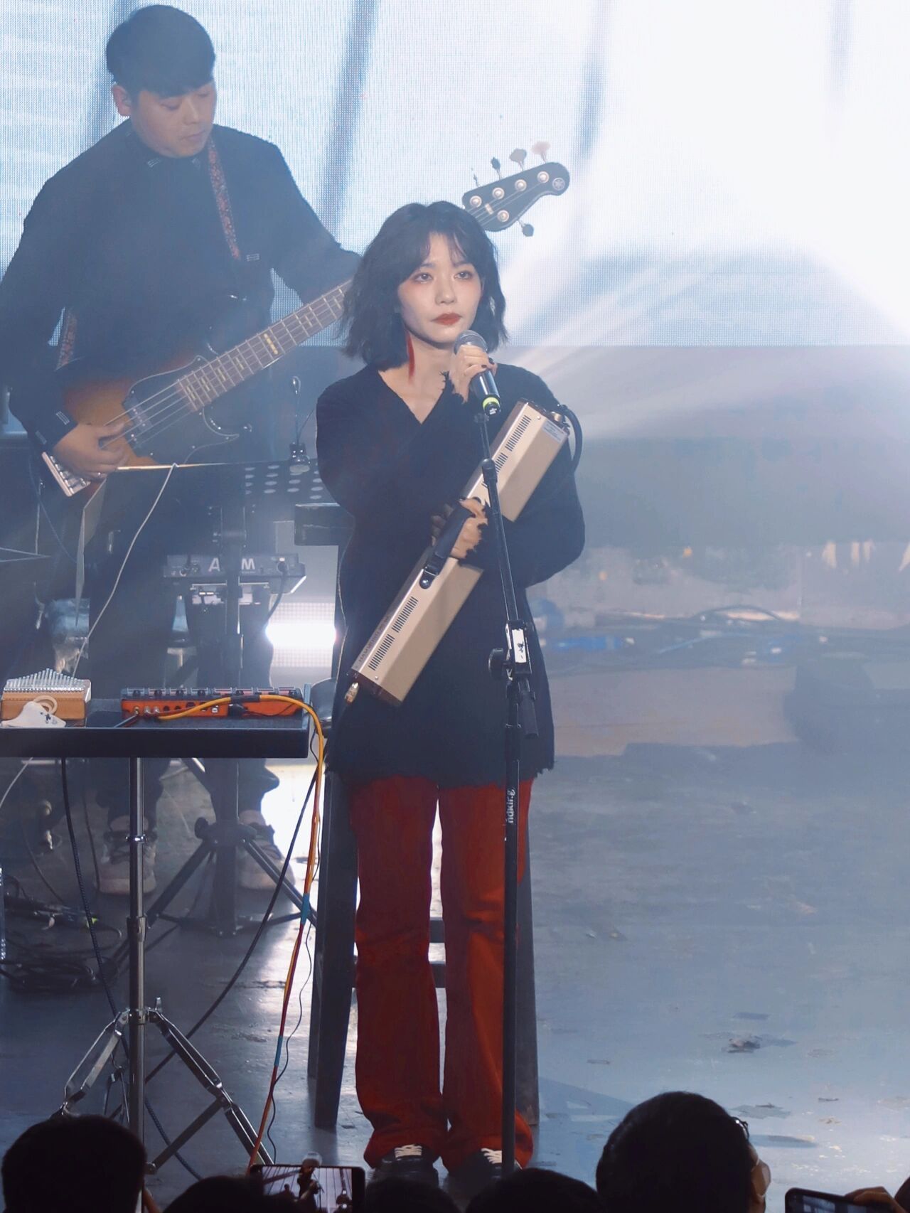 王欣怡 房东的猫,房东的猫小黑王心怡 - 伤感说说吧