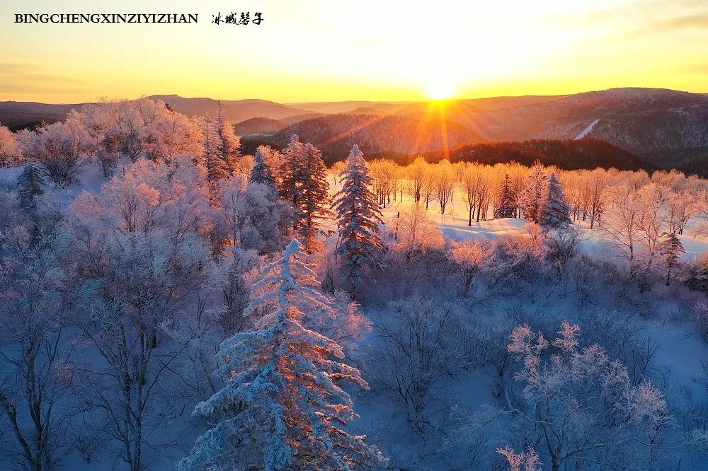 这里是中国冬天最美的公路，令人震撼的林海雪原童话王国！