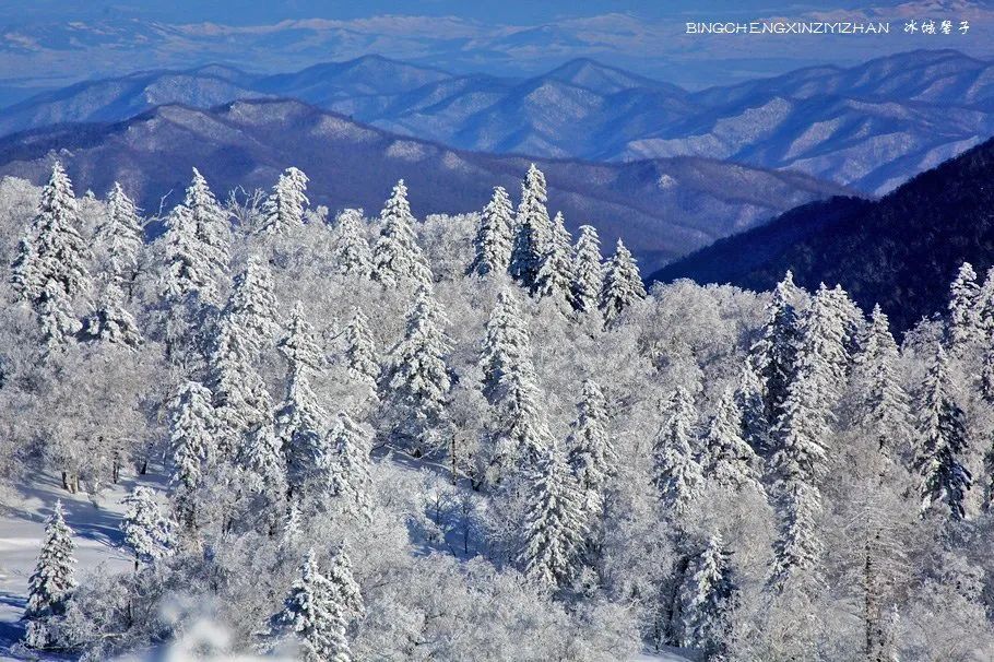 这里是中国冬天最美的公路，令人震撼的林海雪原童话王国！
