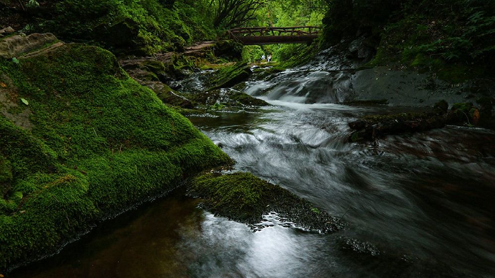 开启18℃的夏天 融入2023宁夏固原避暑旅游季|宁夏|固原|避暑旅游_新浪新闻
