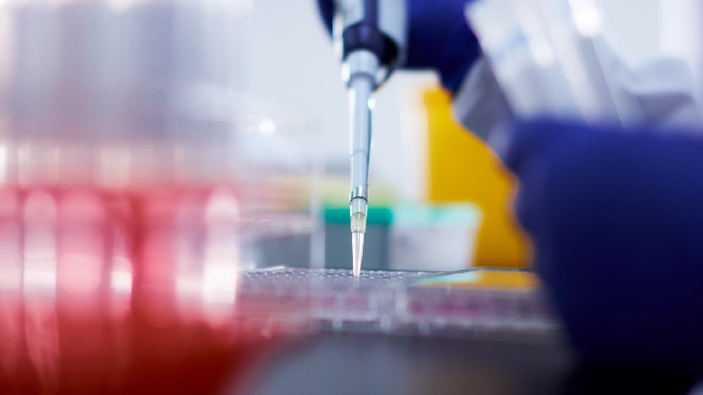 博瑞医药BGM0504来袭，挑战司美格鲁肽「最强竞品」地位|格鲁|靶点|博瑞医药_新浪新闻