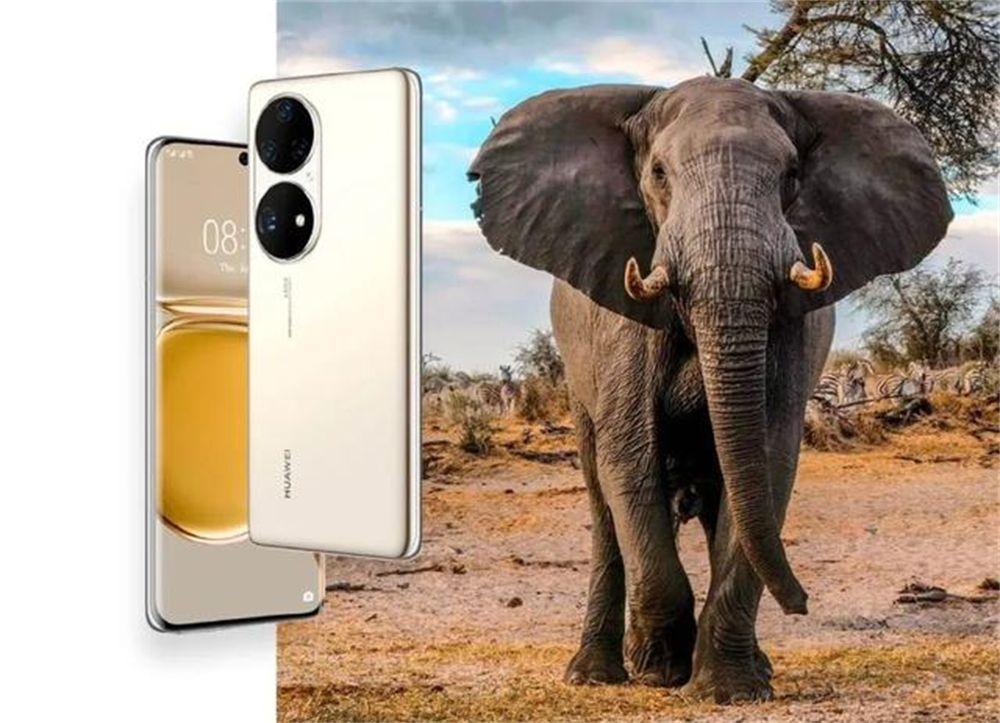 复刻华为Mate40之后又带来5G版华为P50，鼎桥手机究竟什么来历？__财经头条