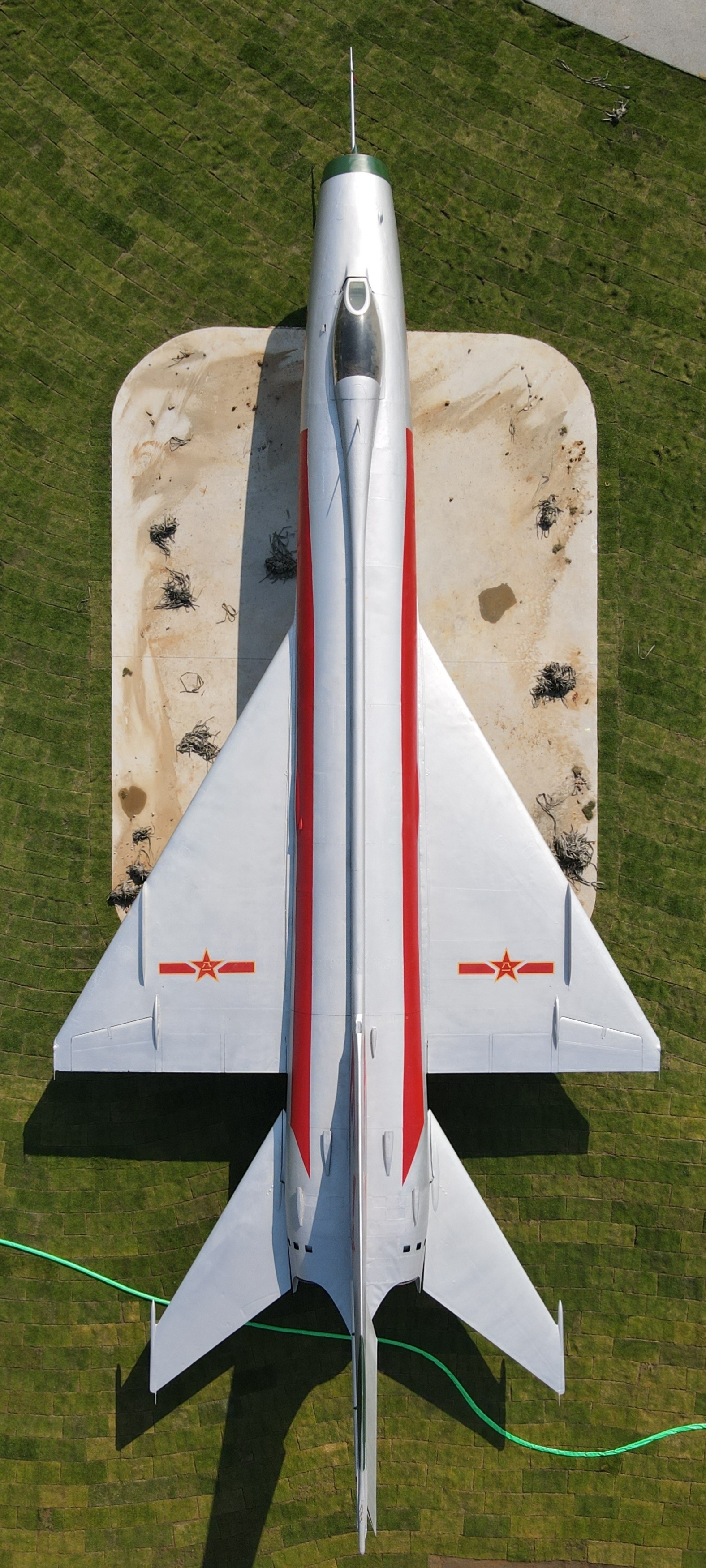 NUAA喂熊图@彩虹熊_白玮 拍摄者，潜伏在NUAA的卧底__财经头条