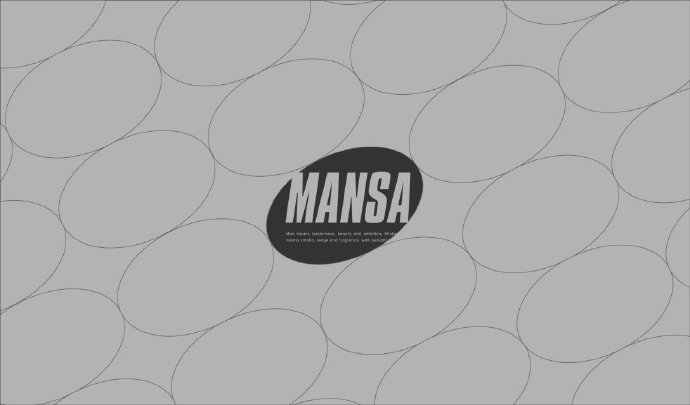 「MANSA」潮流个性服饰品牌视觉logo设计和VI设计