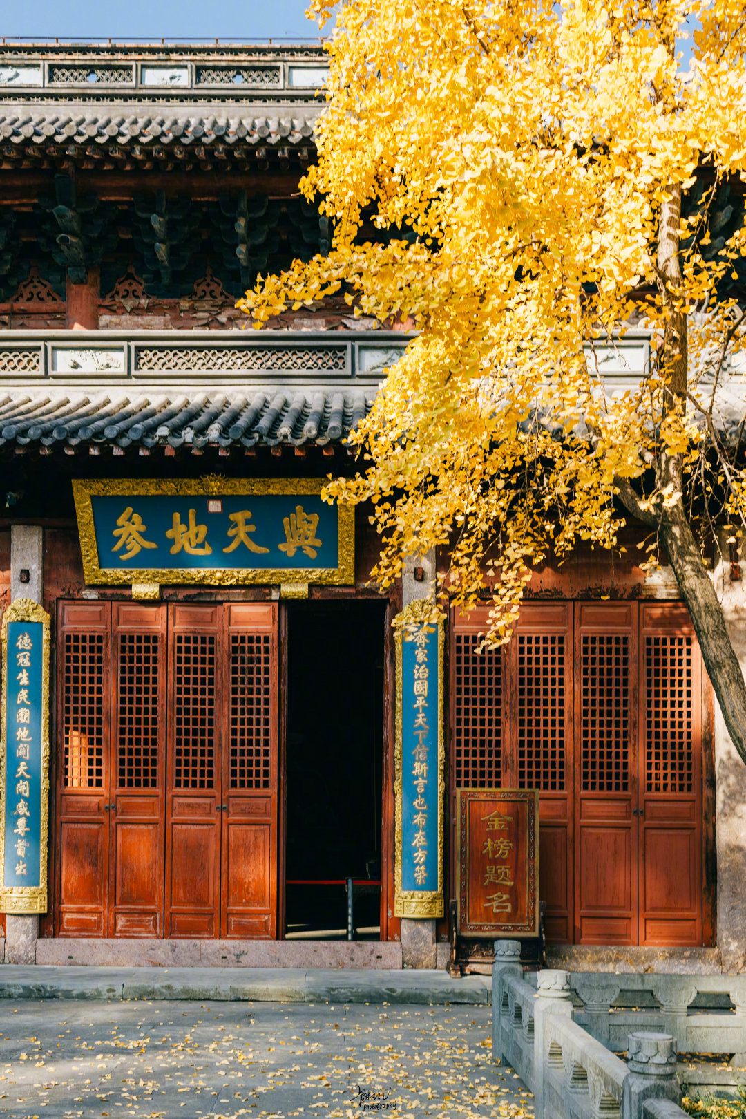 尽日苔阶闲不扫，满园银杏落秋风