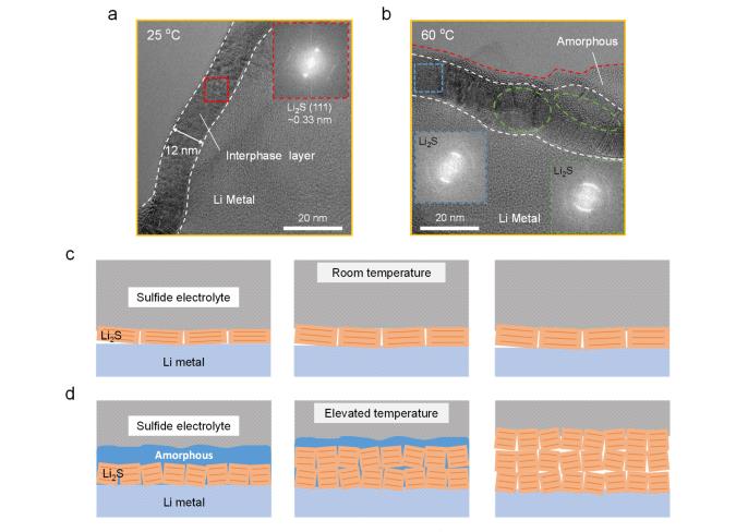 我科学家揭示单锂枝晶与硫化物电解质之间界面层的纳米结构|界面|枝晶|电池_新浪新闻