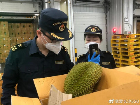 6000吨进口新鲜榴莲，运抵广州！|南沙|榴莲|水果_新浪新闻