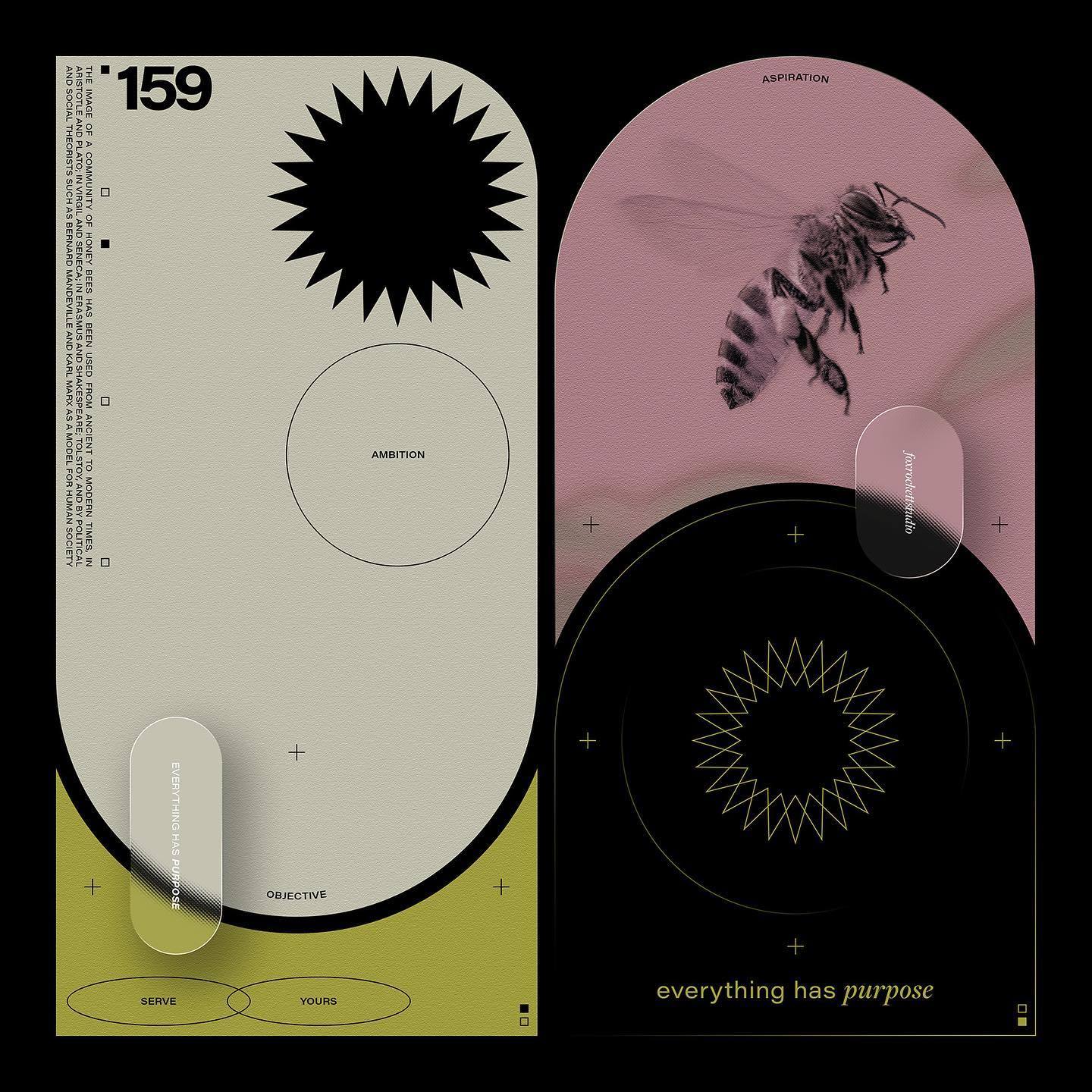 高级感的平面设计作品 Fox Rockett Studio__财经头条