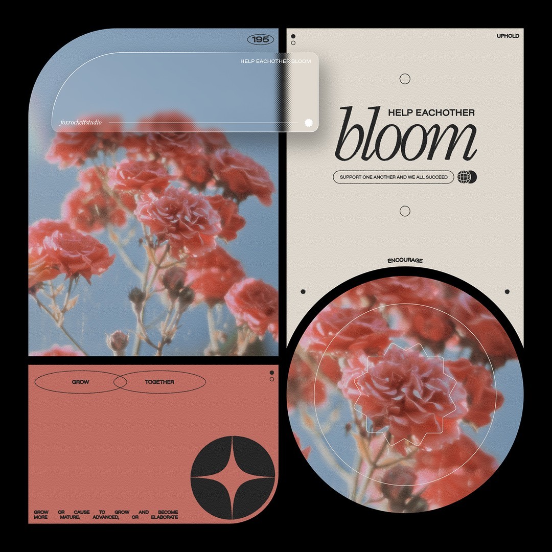 高级感的平面设计作品 Fox Rockett Studio__财经头条