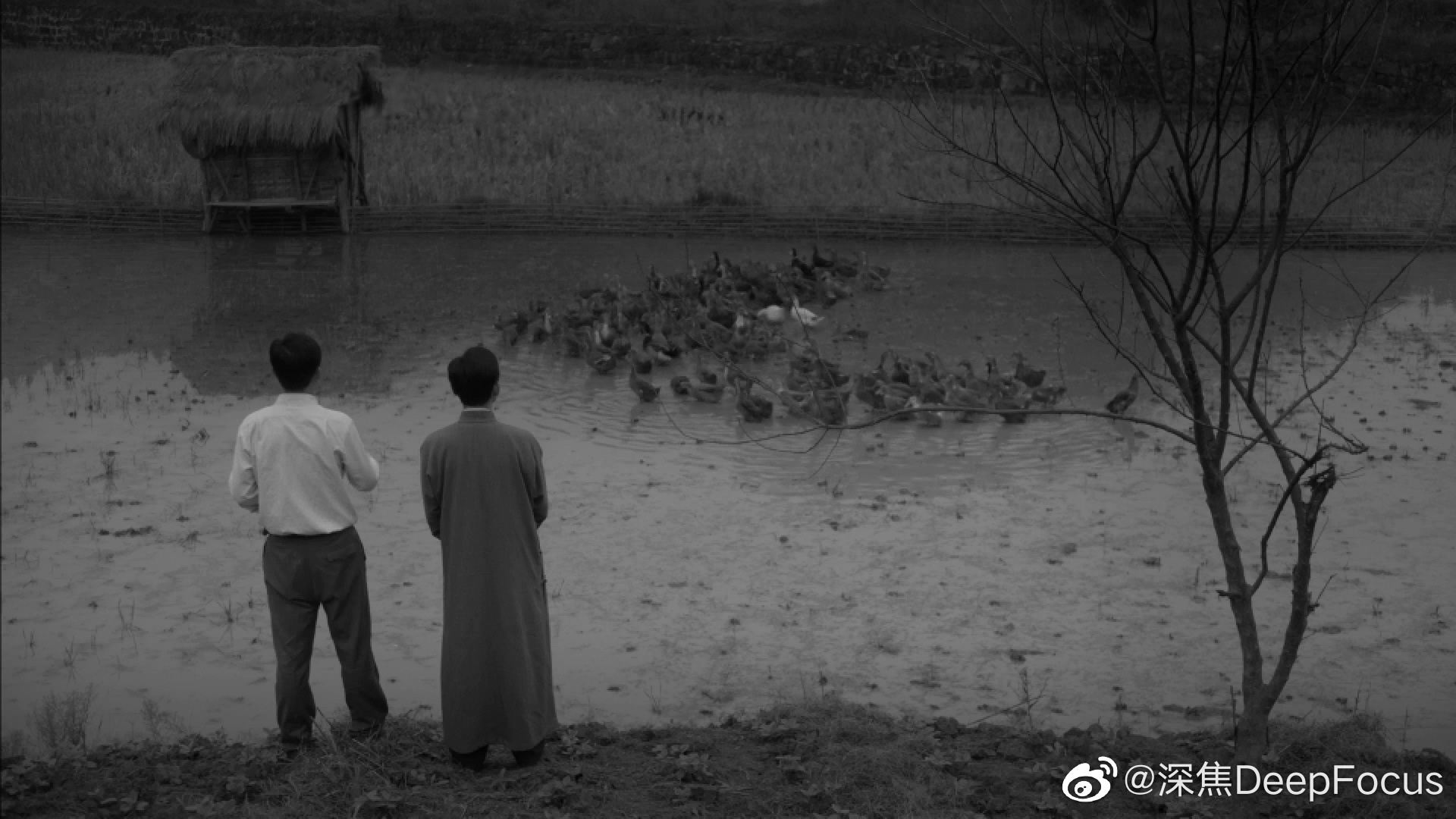 Mr. No Problem | 《不成问题的问题》²º¹⁶ Dir. 梅峰__财经头条