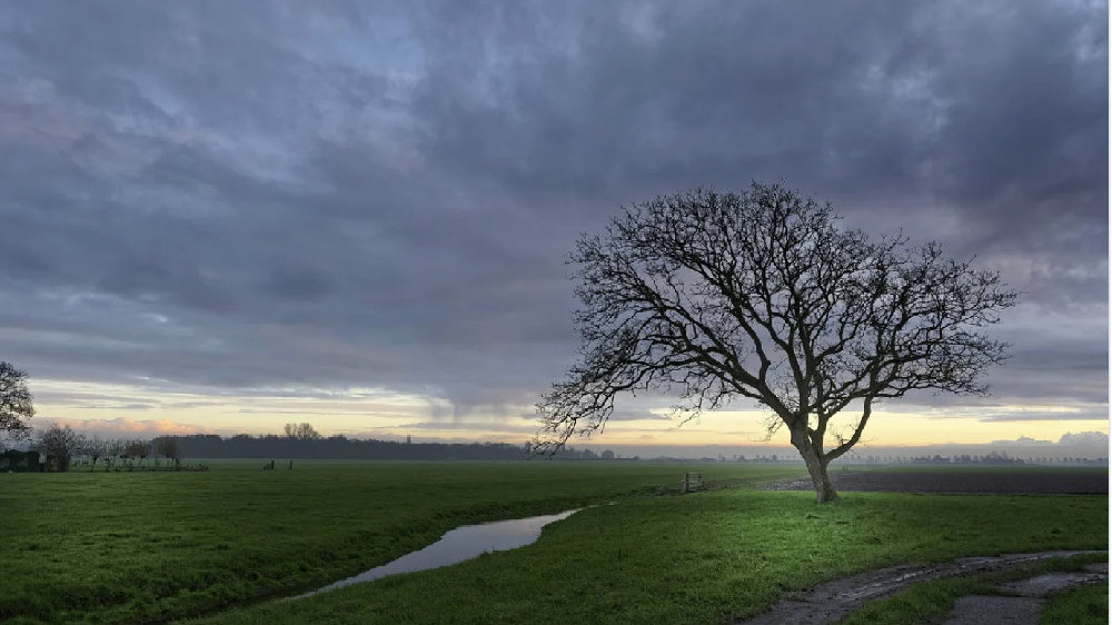 Google开源Service Weaver，让你无需纠结到底选择单体还是微服务|框架|组件|模块化_新浪新闻