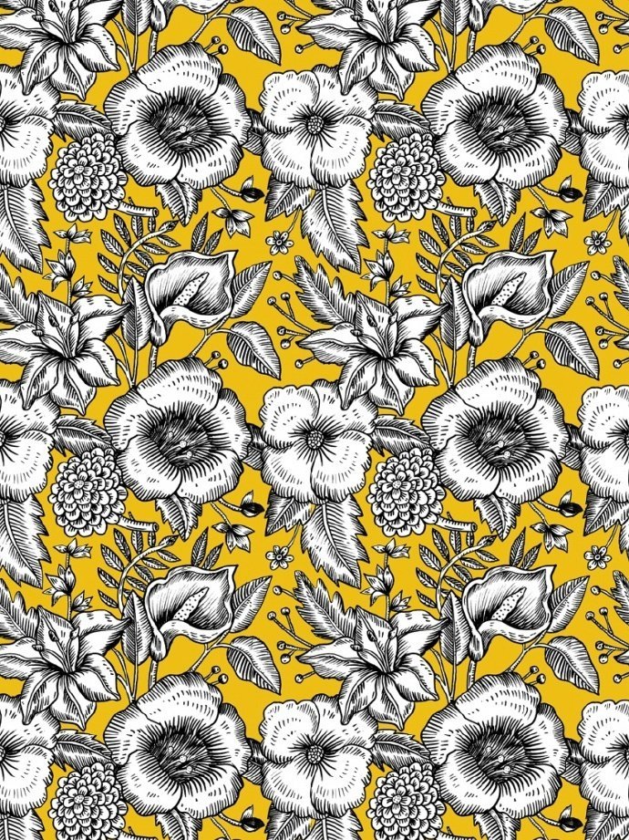 Aitch设计的创意唯美Patterns插画图案