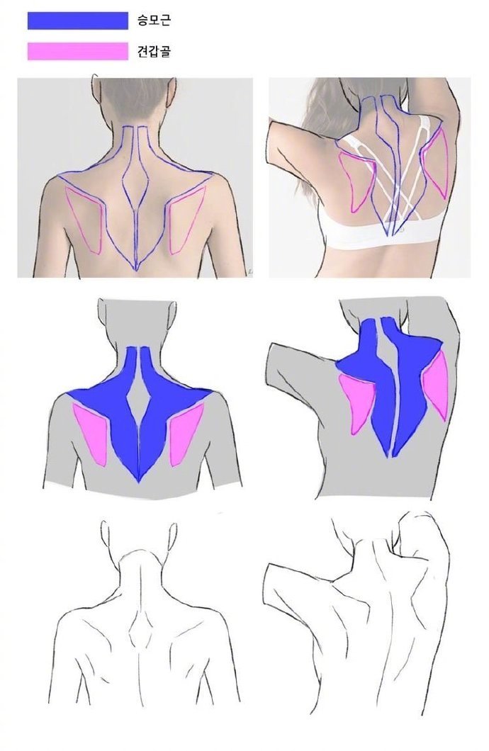 肩颈关系绘画素材参考！自己拿去练习吧，转需！ twi:DF_drawing