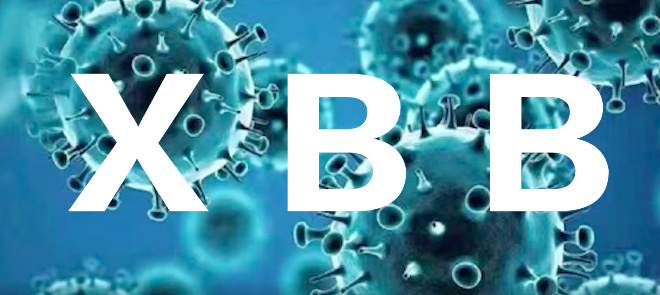 比XBB毒株传播更快的XBB1.5来了，它会是一个新挑战吗？|美国|新冠肺炎_新浪新闻