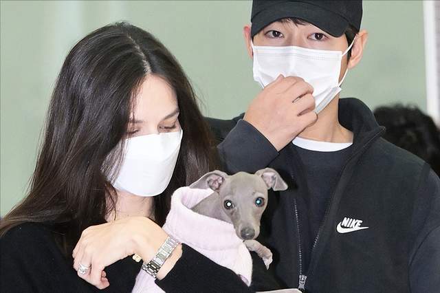 宋仲基婚后首度与妻子亮相，皮肤状态堪比小鲜肉，却因腿长被调侃|财阀家的小儿子|宋仲基|妻子_新浪新闻