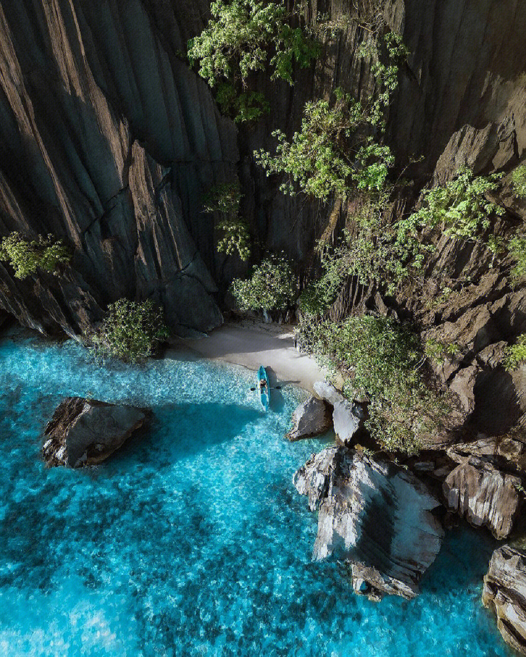 上帝视角｜Merr Watson