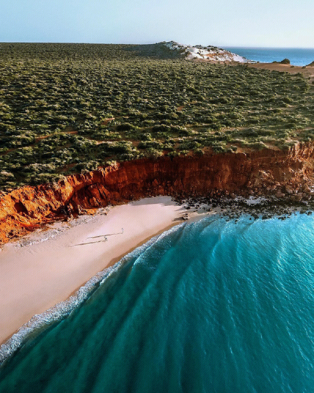 上帝视角｜Merr Watson