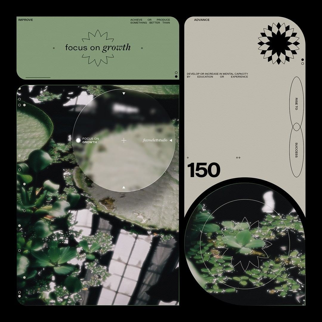 工作室Fox Rockett Studio的作品还是一如既往的舒适……__财经头条