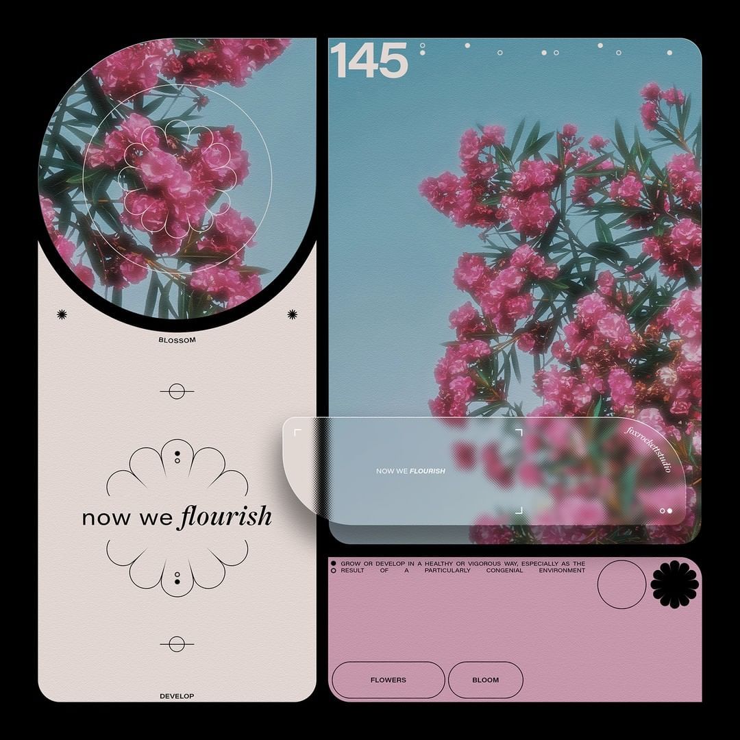 工作室Fox Rockett Studio的作品还是一如既往的舒适……__财经头条