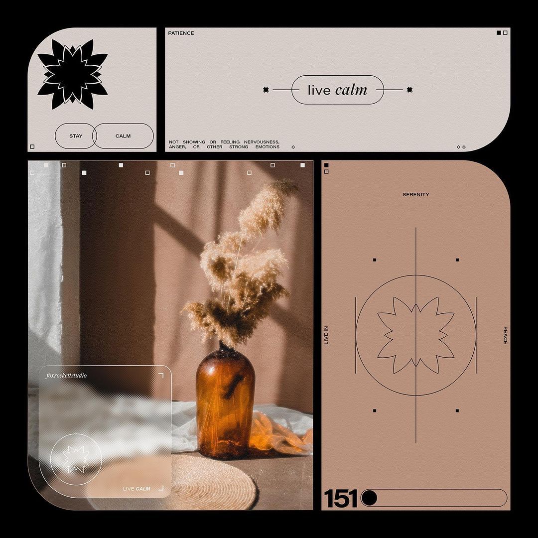 工作室Fox Rockett Studio的作品还是一如既往的舒适……__财经头条