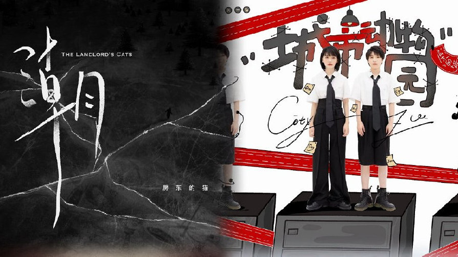 房东的猫全新原创唱友谊 歌词里的人生态度你听懂了吗|在无常中抛下一个锚点|猫|房东_新浪新闻