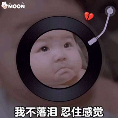 表情包 | 我不落泪 忍住感觉 拿图点赞、吱声~