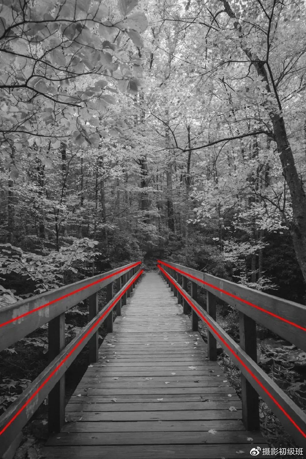 好照片的秘密：引导线构图|线条|构图|纵深感_新浪新闻