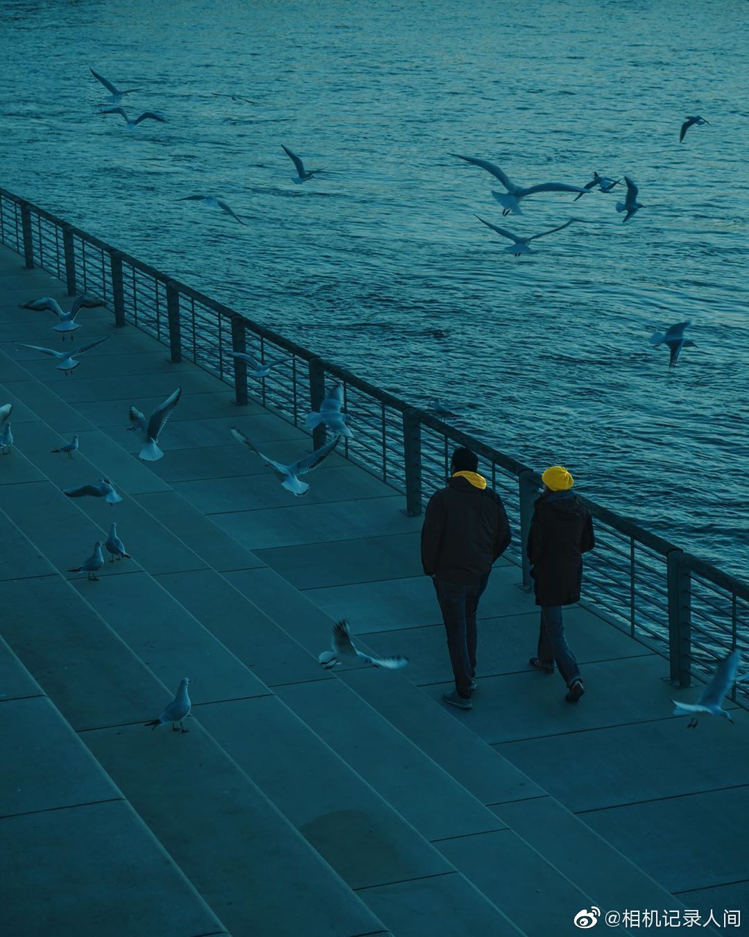 精彩分享by Kefan Weng