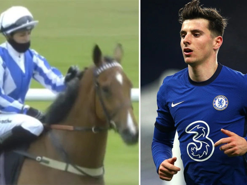 在上周，以芒特名字命名的英国马mayson……|芒特|英国_新浪新闻