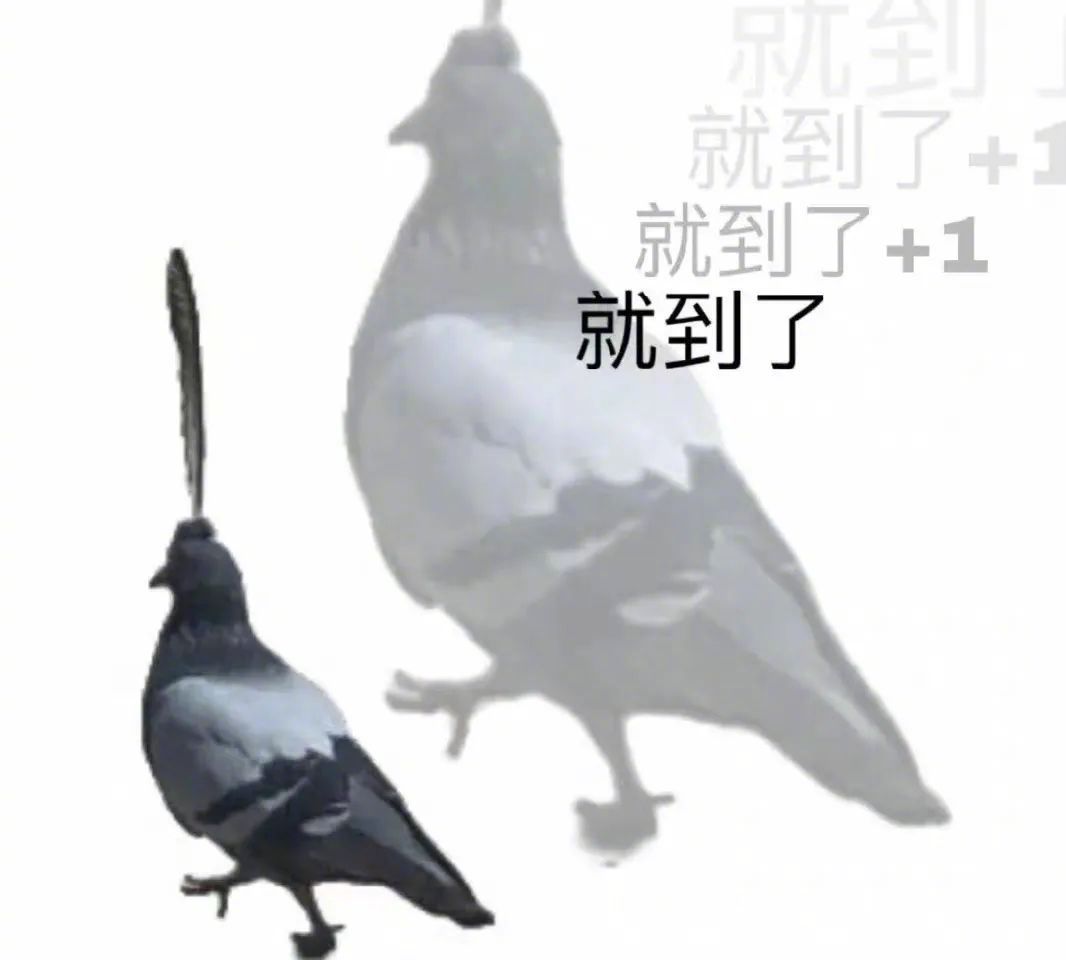 表情包 | 我不落泪 忍住感觉 拿图点赞、吱声~