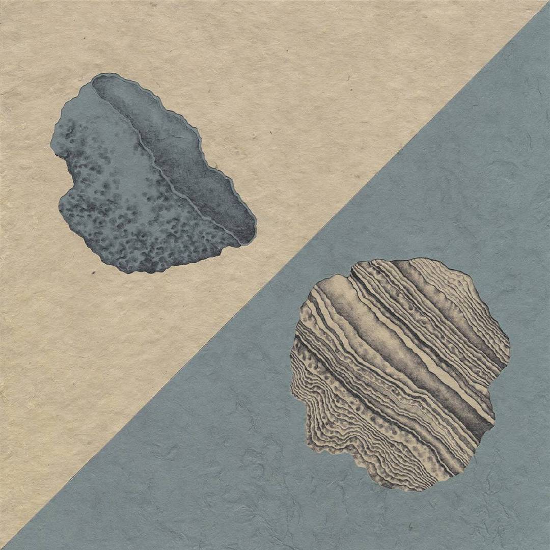 自省的漫游者洛杉矶插画家和设计师 Eric Ross Bernstein