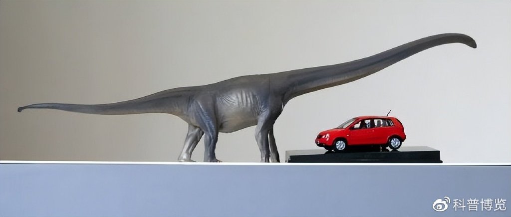 史上脖子最长的恐龙，长度可达17.5米，就在我国！为何能长这么长