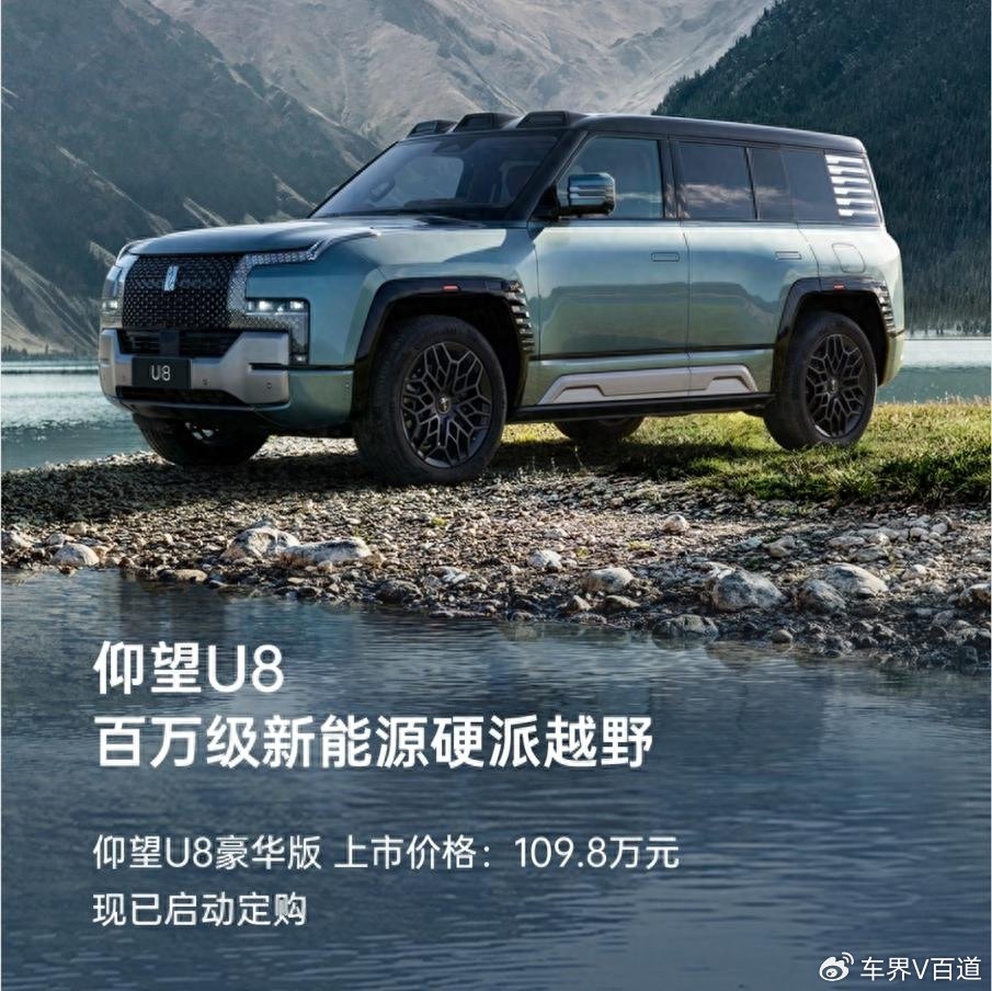 仰望U8豪华版正式上市！1200马力提速3.6s，标配浮水模式+原地掉头-新浪汽车