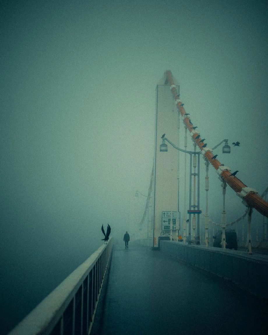 英国摄影师Eren Sarigul镜头下的雾和雨，好舒服的氛围__财经头条