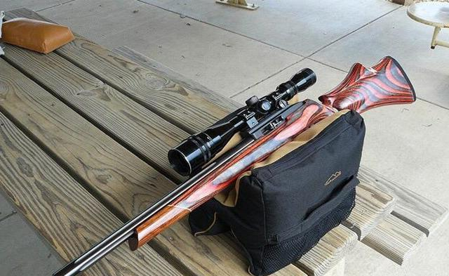 4把美国人打猎必备的步枪：第1卖出700多万支，人见人爱|步枪|鲁格|美国人_新浪新闻