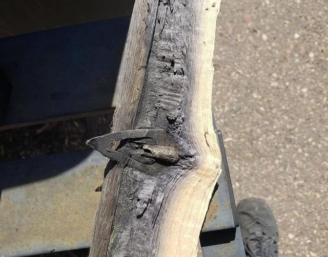 网友一不小心发现的25个神奇物品，这运气简直爆炸啊！