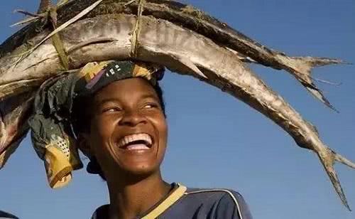 怪不得非洲人不种地，看到当地的“面包树和香肠树”，是我也不种|面包树|香肠|果实_新浪新闻