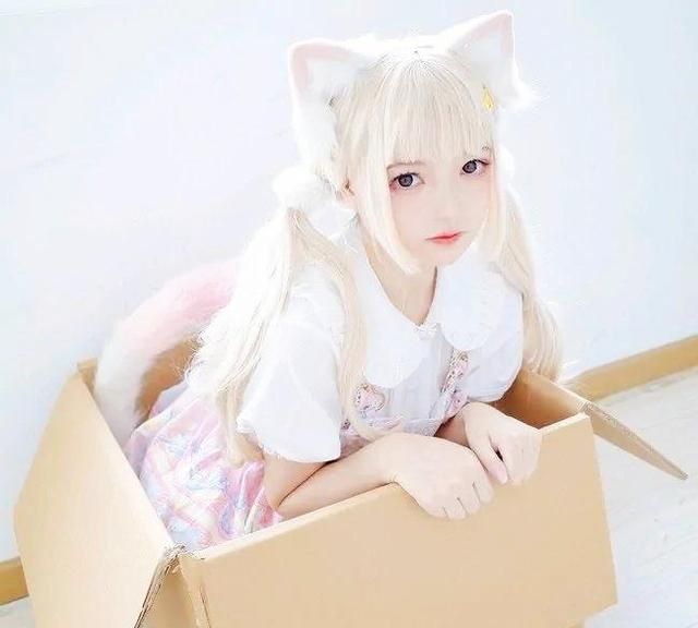 二次元少女cos猫娘,软萌可爱,宅男看到后,果然猫娘才是最爱二次元猫娘宅男新浪新闻