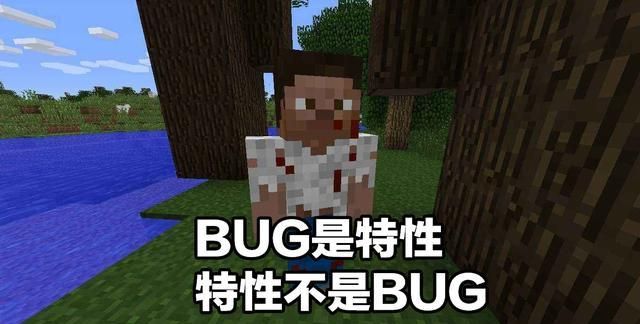 我的世界：不是所有的BUG都叫特性？你真的了解特性是啥吗