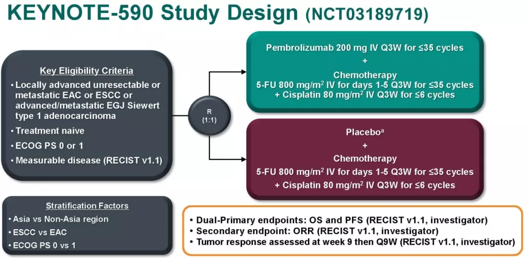 KEYNOTE-590挑战食管癌一线治疗全胜—抗癌管家|抗癌|食管癌|管家_新浪新闻