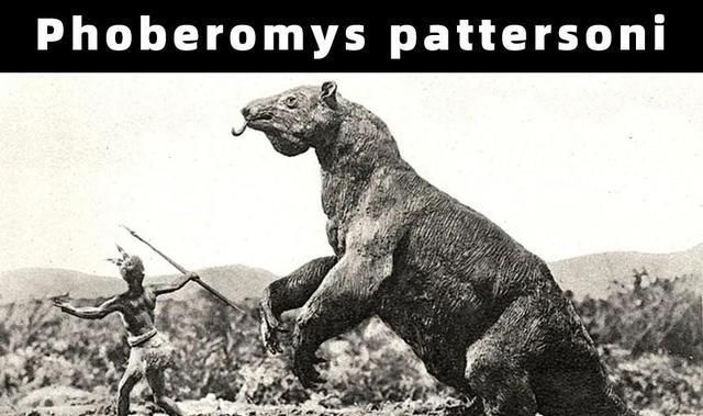 比巨齿鲨还要更加可怕的10个史前生物|海王|巨齿|爬行动物_新浪新闻