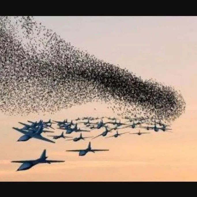 中国无人机越玩越高级，单车齐射48架，铺天盖地消灭一个坦克营|无人机|飞弹|蜂群_新浪新闻