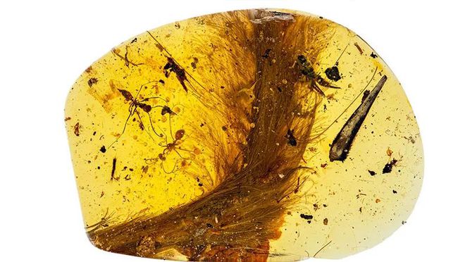 2.3亿年前，地球下了200万年的雨，一把将恐龙推上了“王位”！|盘古|恐龙|三叠纪_新浪新闻