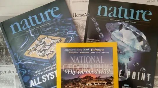 一天4篇Nature！ 国内高校大爆发__财经头条