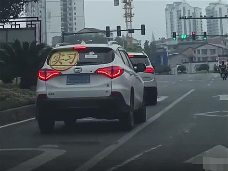 比亚迪贴超大实习标志，引路人围观，路人：这下知道你是新手了！