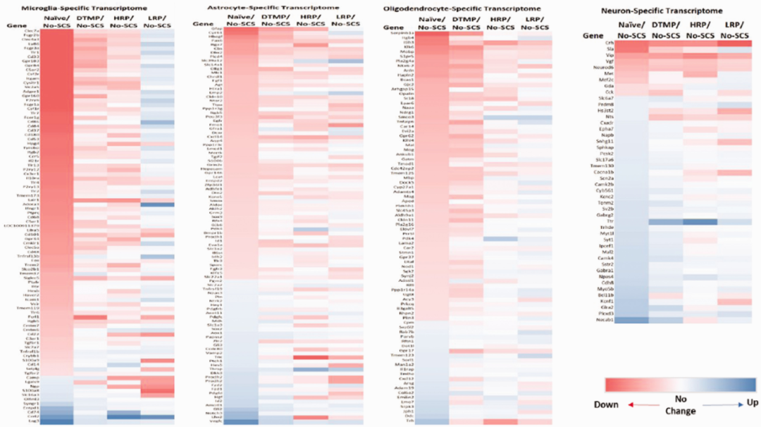 Molecular Pain：神经病理性痛的最新研究进展_新浪新闻